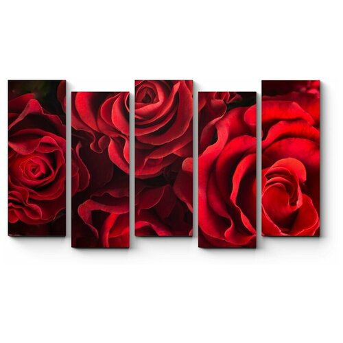 Модульная картина Бархатные розы160x92