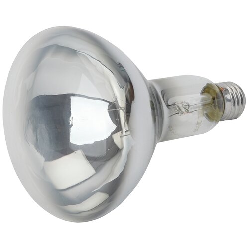 Лампа накаливания ЭРА Б0042991, E27, 250 Вт, 2596 К