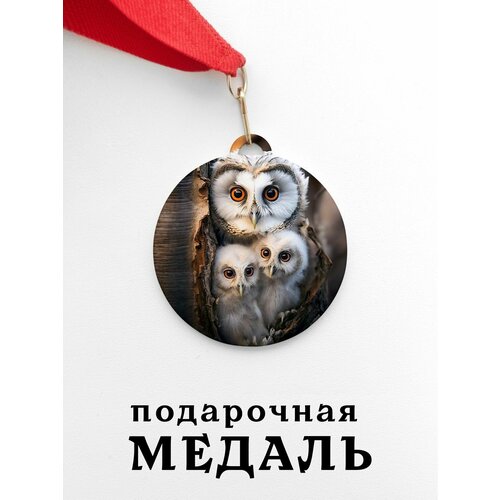 Медаль сувенирная спортивная подарочная Семья Сов, металлическая на красной ленте