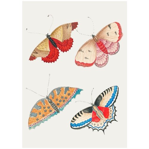 Постер / Плакат / Картина Бабочки - Нежные бабочки 90х120 см в подарочном тубусе