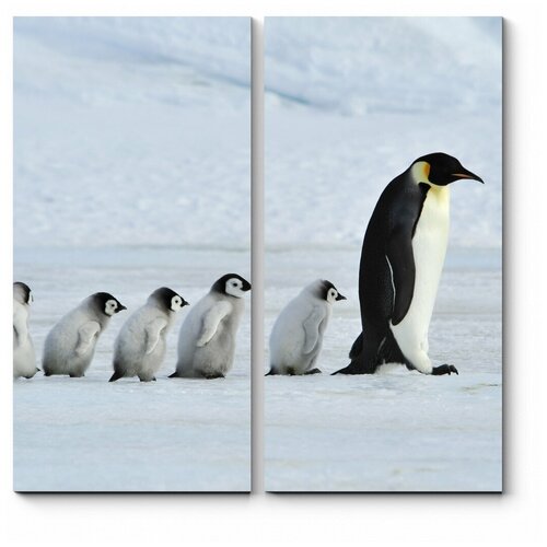 Модульная картина Семейство пингвинов на прогулке 50x50