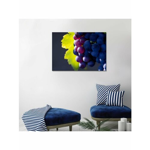 Картина на холсте с подрамником виноград 1 40х60