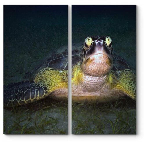 Модульная картина Зеленая черепаха ночью 140x140