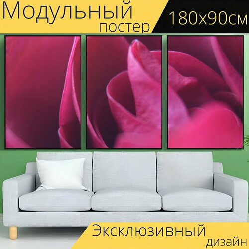 Модульный постер "Роза, романтика, макрос" 180 x 90 см. для интерьера