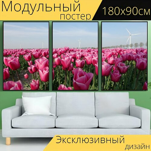 Модульный постер "Тюльпаны, розовый, поля тюльпанов" 180 x 90 см. для интерьера
