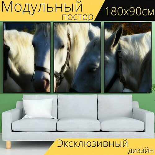 Модульный постер "Лошадь, животное, млекопитающие" 180 x 90 см. для интерьера