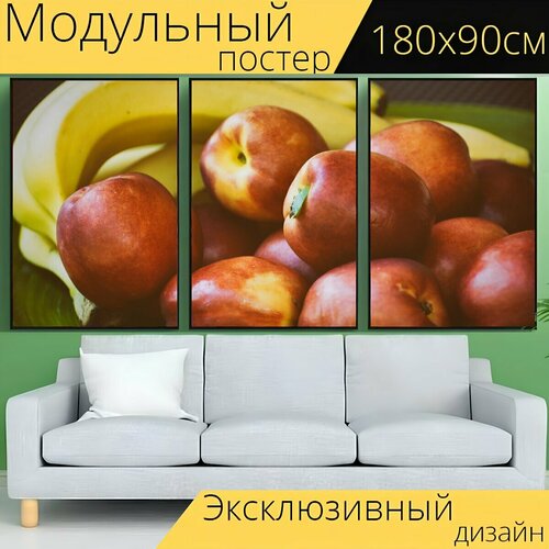 Модульный постер "Бананы, нектарин, фрукты" 180 x 90 см. для интерьера