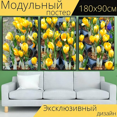 Модульный постер "Весна, цветок, природа" 180 x 90 см. для интерьера