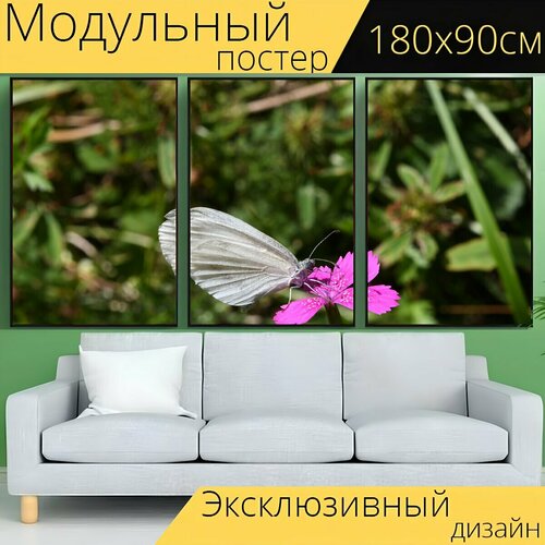 Модульный постер "Бабочка, али, летать" 180 x 90 см. для интерьера
