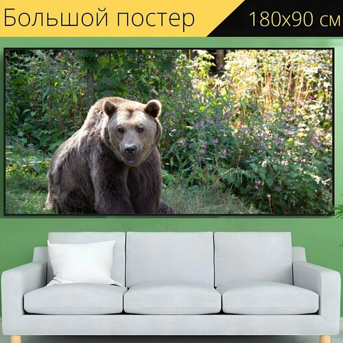 Большой постер "Бурый медведь, природа, дикая природа" 180 x 90 см. для интерьера