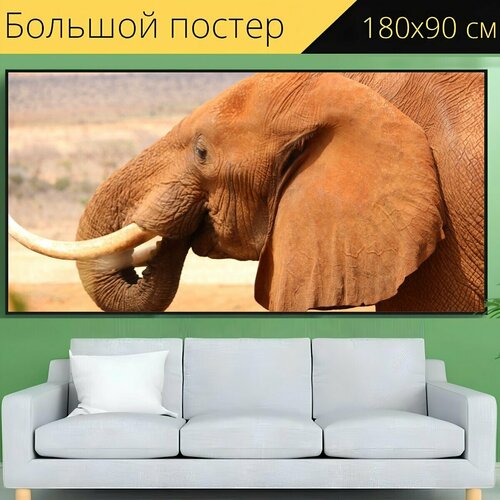 Большой постер "Слон, тсаво восток, африке" 180 x 90 см. для интерьера