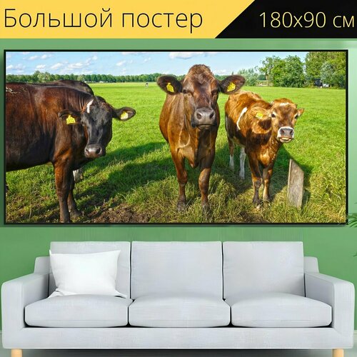 Большой постер "Корова, крупный рогатый скот, домашний скот" 180 x 90 см. для интерьера