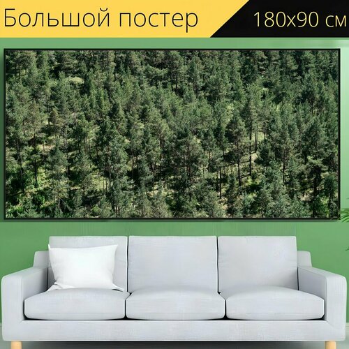 Большой постер "Природа, сосновый лес, деревья" 180 x 90 см. для интерьера