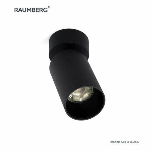Накладной настенно-потолочный поворотный светильник RAUMBERG AIR D bk черный