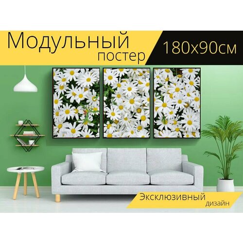 Модульный постер "Маргаритка, цветок, весна" 180 x 90 см. для интерьера