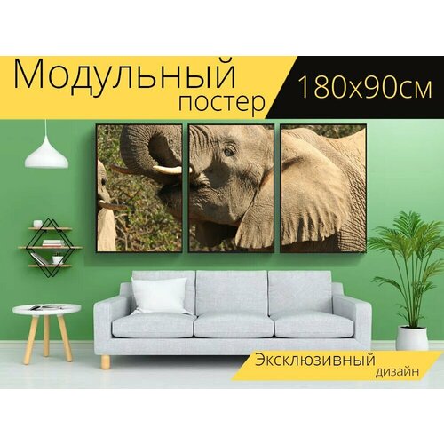 Модульный постер "Дикий, слон, телец" 180 x 90 см. для интерьера