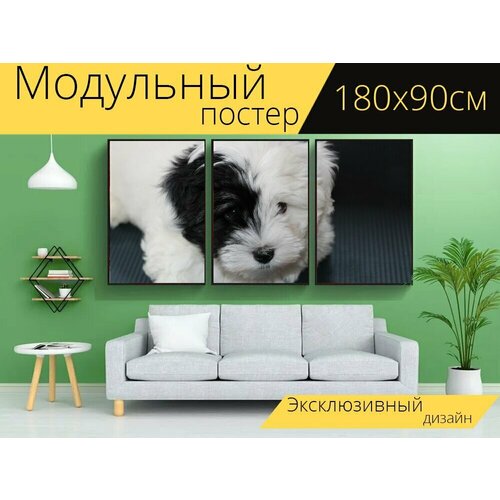 Модульный постер "Собака, щенок, белая собака" 180 x 90 см. для интерьера