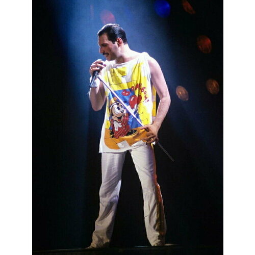 Плакат, постер на бумаге Freddie Mercury/Фредди Меркьюри/музыкальные/поп исполнитель/артист/поп-звезда/группа. Размер 21 х 30 см