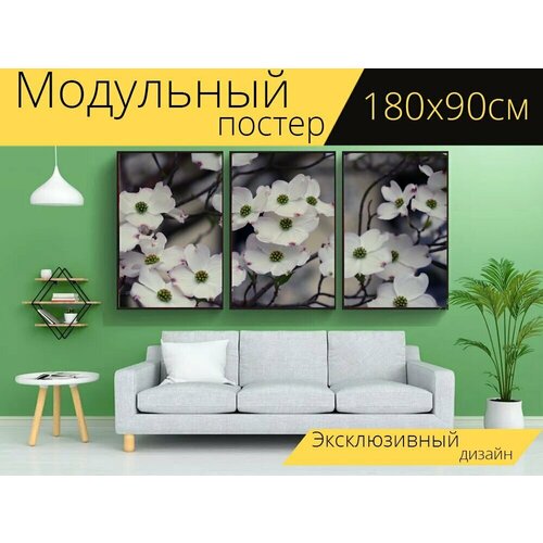 Модульный постер "Кизил, цветы, филиал" 180 x 90 см. для интерьера