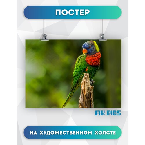 Постер на холсте Попугай (28) 40х60 см