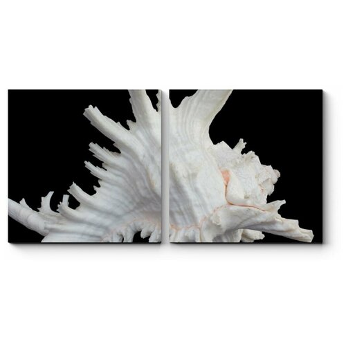 Модульная картина Морская раковина130x65