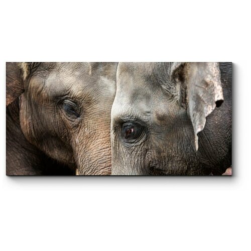 Модульная картина Любовь слонов 90x45