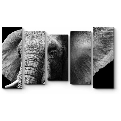 Модульная картина Портрет слона150x90