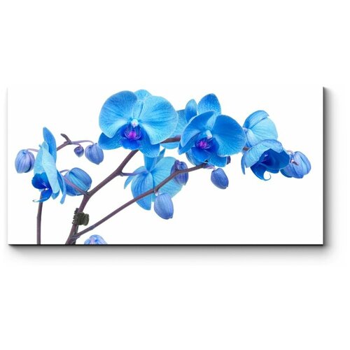 Модульная картина Орхидея небесного цвета 160x80