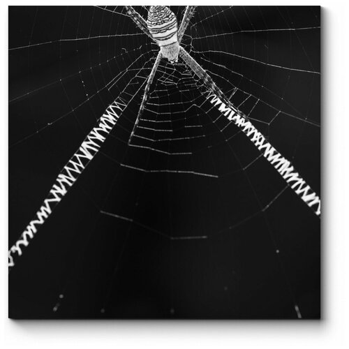 Модульная картина В сетях паука 30x30