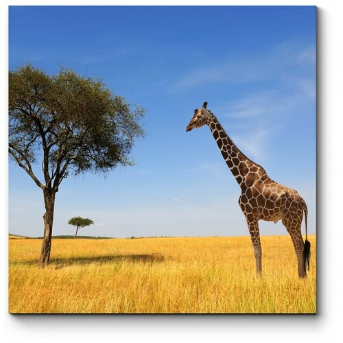 Модульная картина Одинокий африканский жираф 30x30