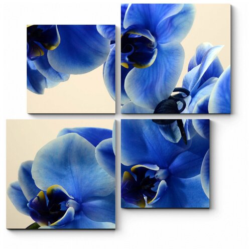 Модульная картина Синие орхидеи50x50