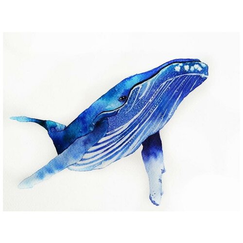 Постер / Плакат / Картина Большой синий кит 60х90 см в раме