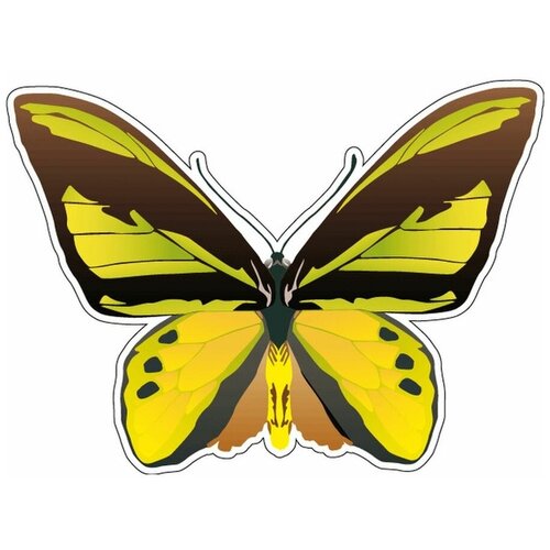 Наклейка декоративная Бабочка 12x8 см