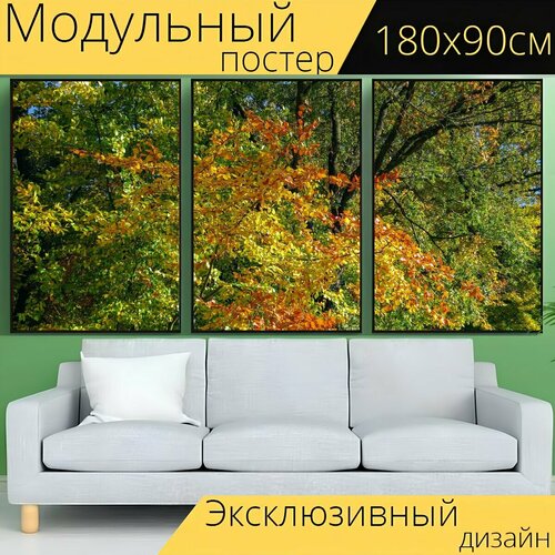 Модульный постер "Падение, осенние листья, яркий" 180 x 90 см. для интерьера