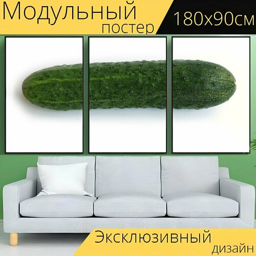 Модульный постер "Огурец, зеленый, овощ" 180 x 90 см. для интерьера