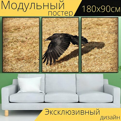 Модульный постер "Ворона, птица, летающий" 180 x 90 см. для интерьера