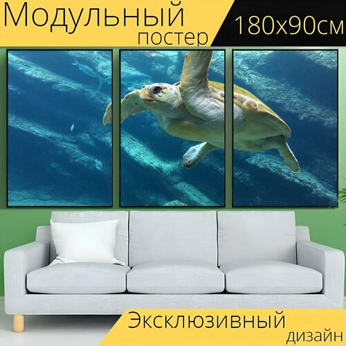 Модульный постер "Черепаха, море, подводный" 180 x 90 см. для интерьера