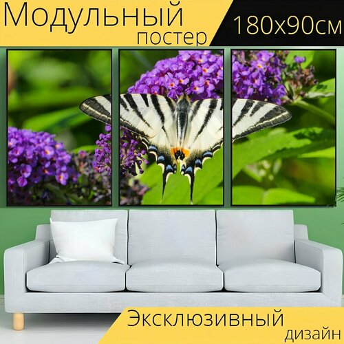 Модульный постер "Бабочка, дефицитный ласточкин хвост, цветы" 180 x 90 см. для интерьера