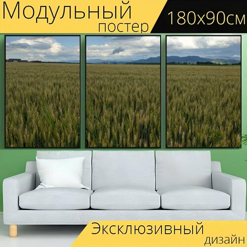 Модульный постер "Зерновое поле, деревня, сельское хозяйство" 180 x 90 см. для интерьера