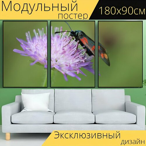 Модульный постер "Бабочка, насекомое, крыло" 180 x 90 см. для интерьера