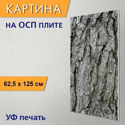 Вертикальная картина на ОСП "Текстура, дерево, лаять" 62x125 см. для интерьериа