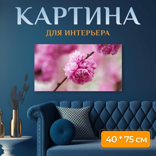 Картина на холсте "Миндаль, цветы, розовый" на подрамнике 75х40 см. для интерьера