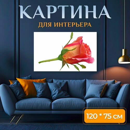 Картина на холсте "Роза, бутон, цветок" на подрамнике 120х75 см. для интерьера
