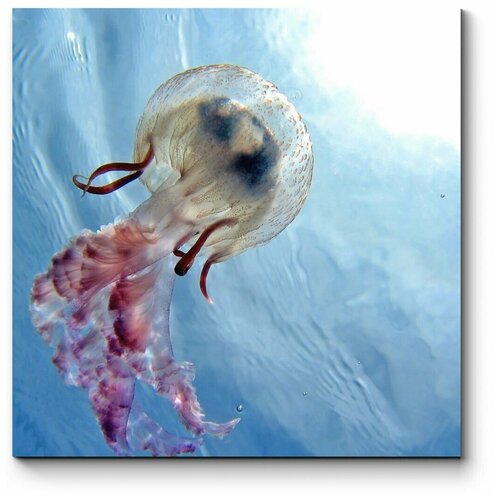 Модульная картина Прекрасная медуза 20x20