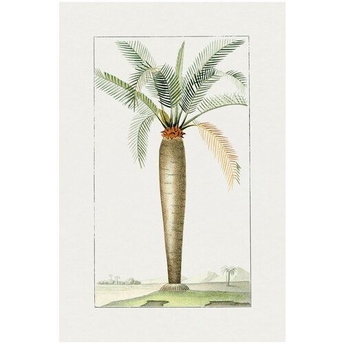 Постер / Плакат / Картина Пальмы - Пальма с желтой веткой 60х90 см в раме