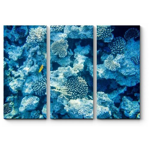 Модульная картина Коралловые рифы 120x86