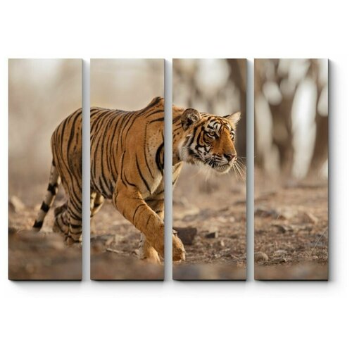 Модульная картина Тигр на охоте70x53