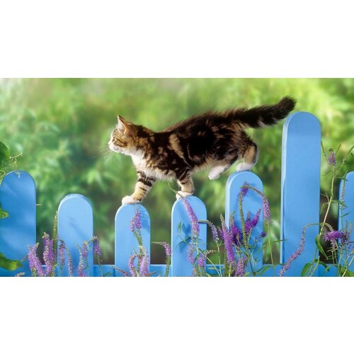 Картина на холсте 60x110 LinxOne "Кот забор цветы" интерьерная для дома / на стену / на кухню / с подрамником