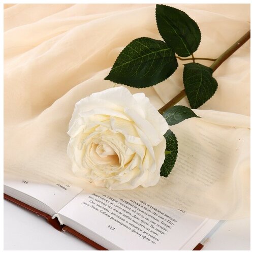 Цветы искусственные "Роза эстетик" 10х49 см, белый