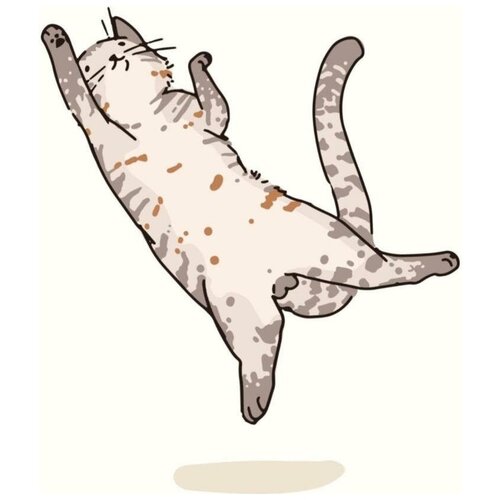 Постер / Плакат / Картина Кошки - Котик с белым животиком 40х50 см в подарочном тубусе